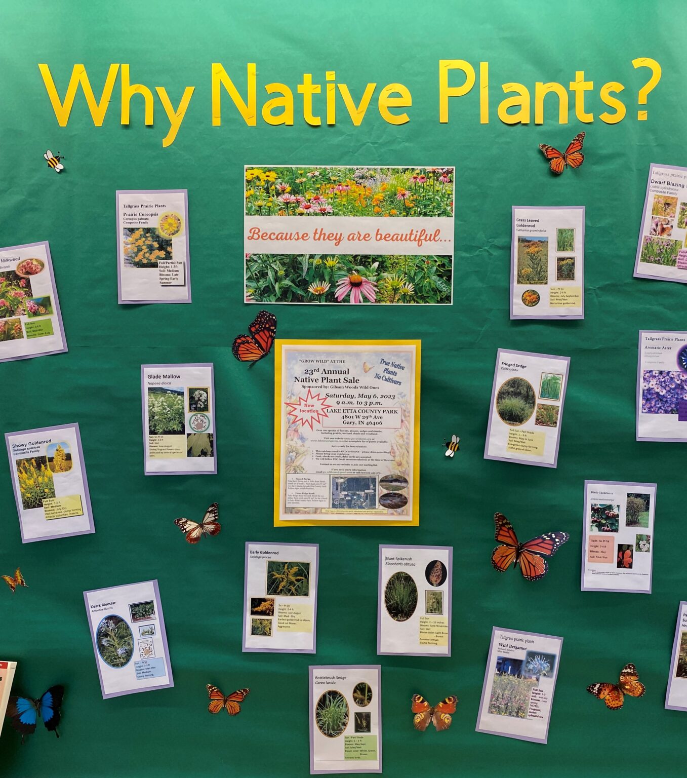 National Native Plant Month - Wild Ones Gibson Woods Chapter